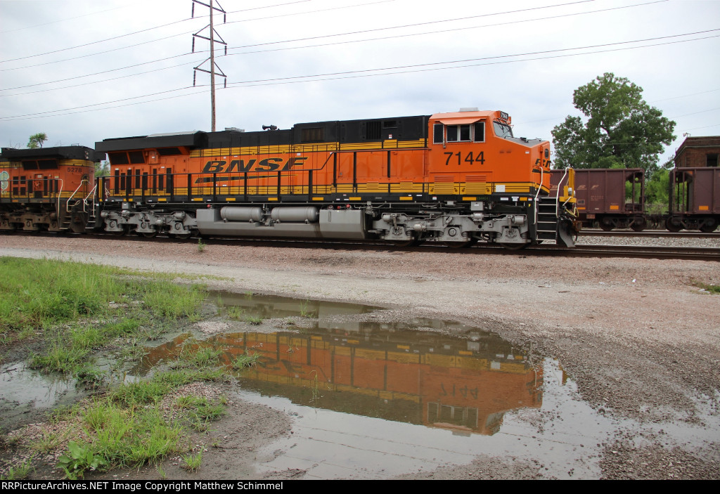 Reflection Of A New C4 Gevo